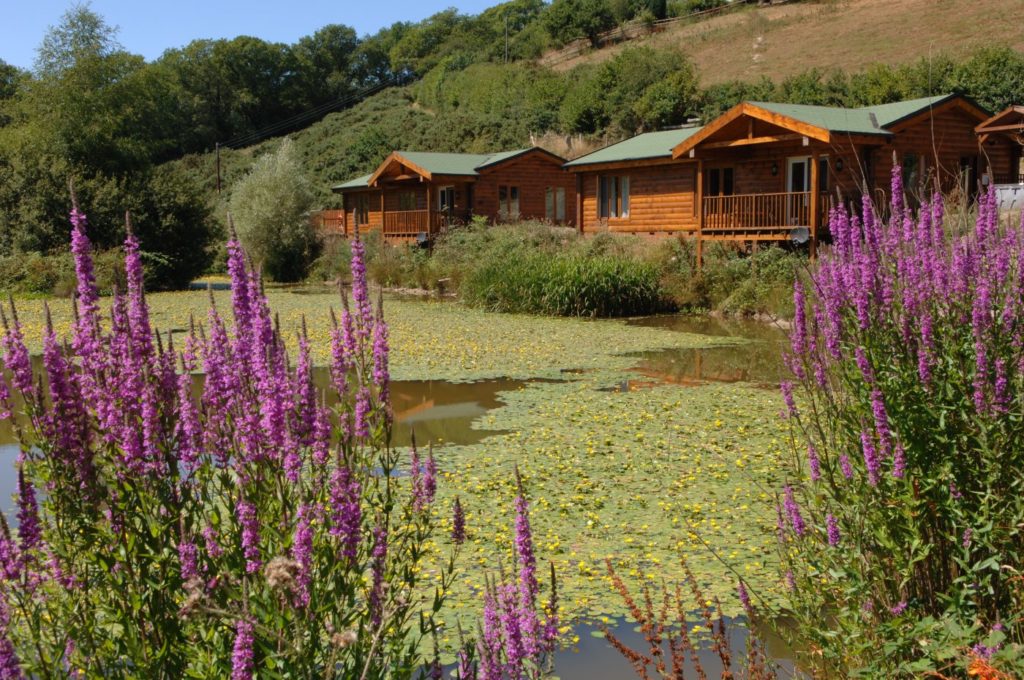 Valleyview Lakes and Lodges - Fishing Lodges North Devon